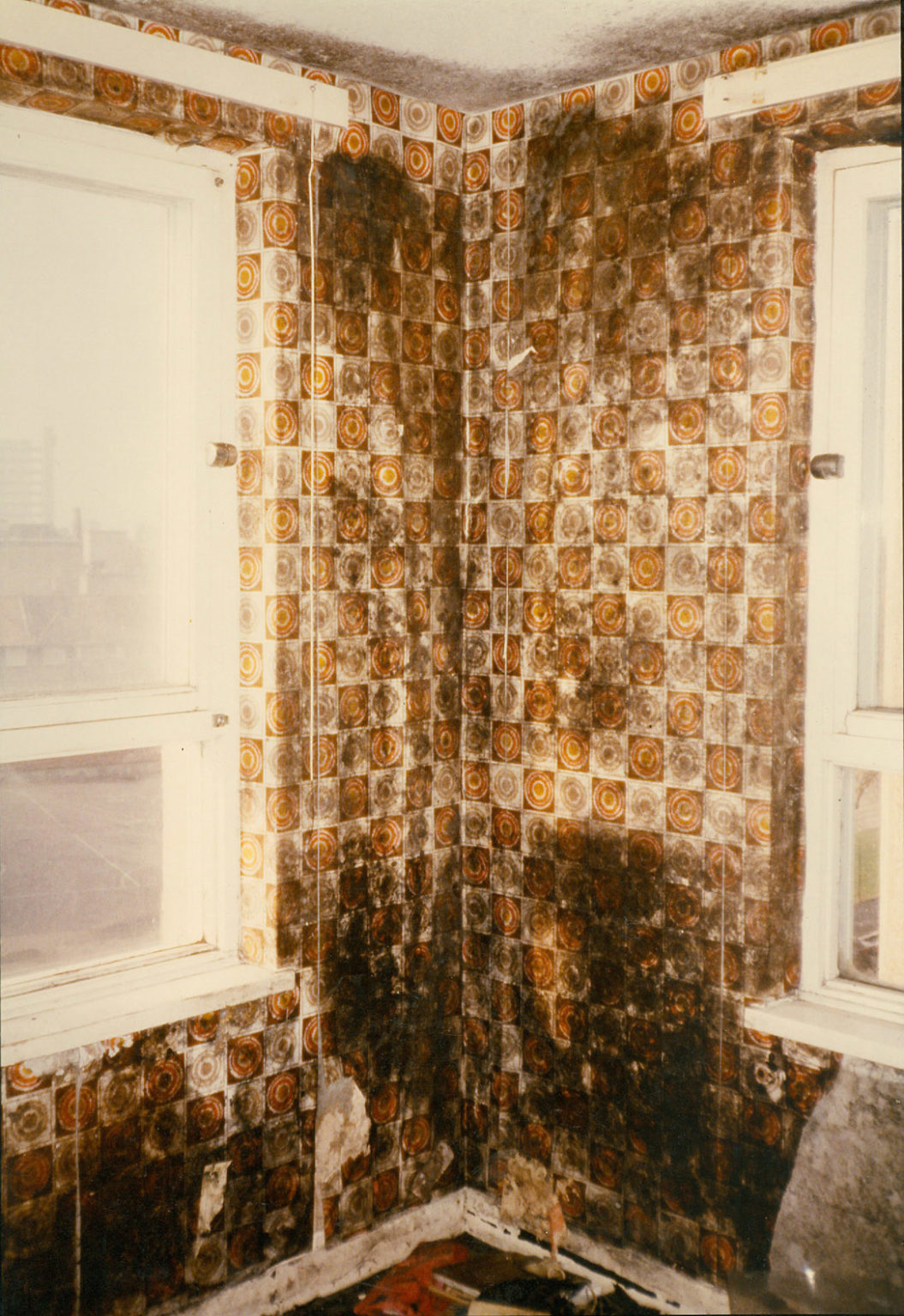 Mould Growth Consultants | Tackling home health hazards - labm